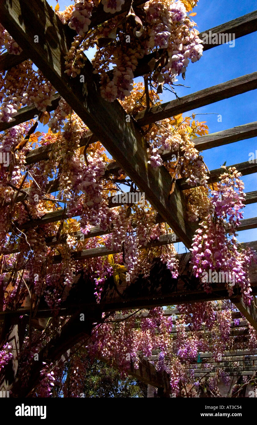 Formal garden at Santa Ines Spanish Mission still operating in Solvang ...