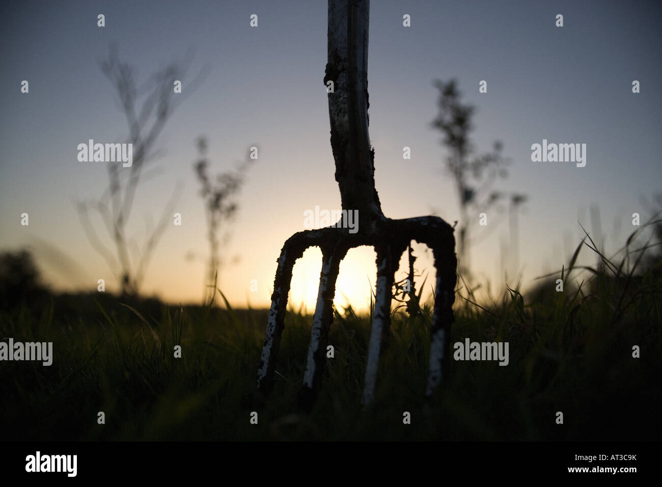 A gardening folk in the ground Stock Photo - Alamy