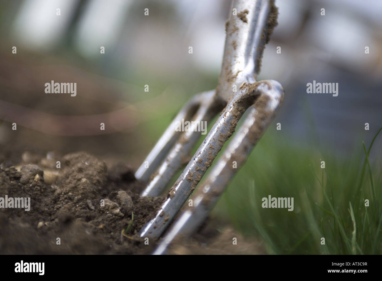 Digging soil with a fork, close-up Stock Photo - Alamy