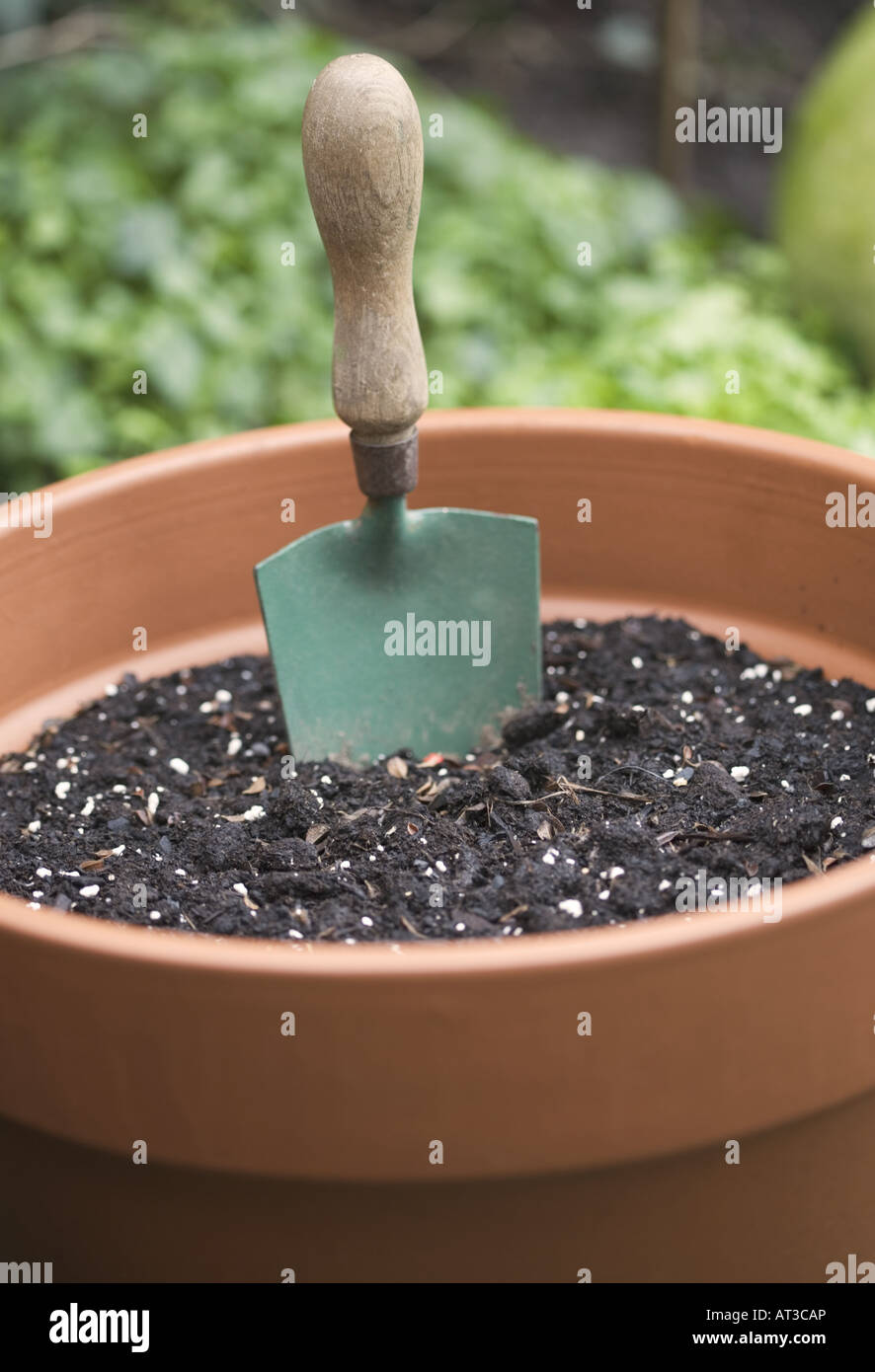 A gardening trowel in a plant pot Stock Photo - Alamy
