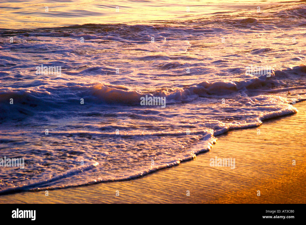 sunset beach shore Stock Photo - Alamy