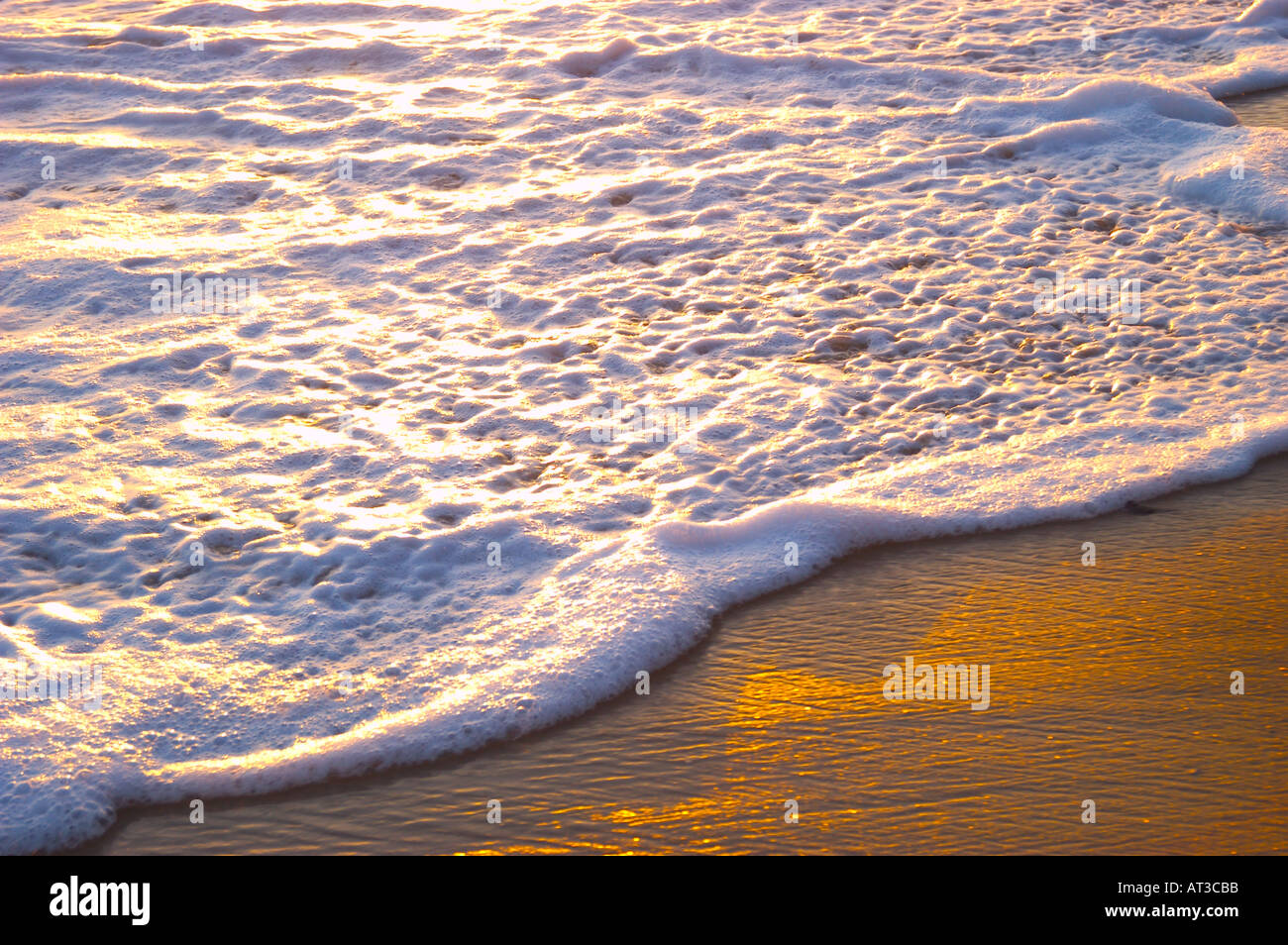 beach foam and sand Stock Photo - Alamy