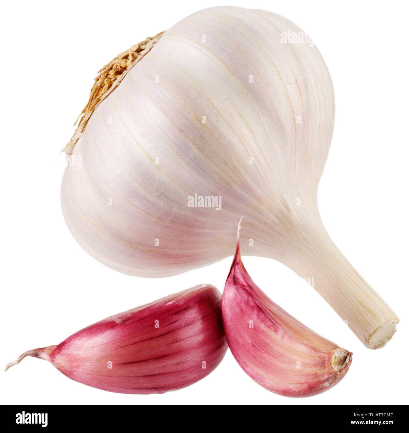 Whole bulb head cut hi-res stock photography and images - Alamy