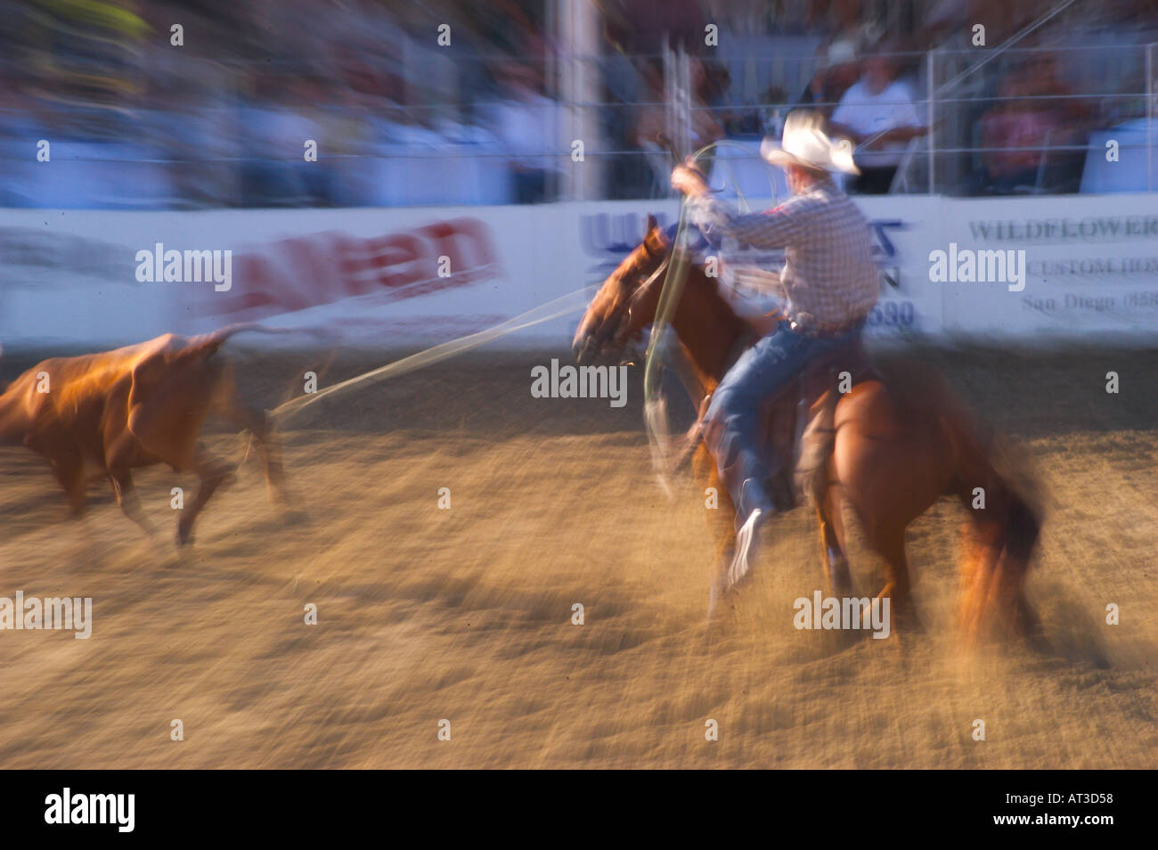 rodeo cowboy riding a horse Stock Photo - Alamy