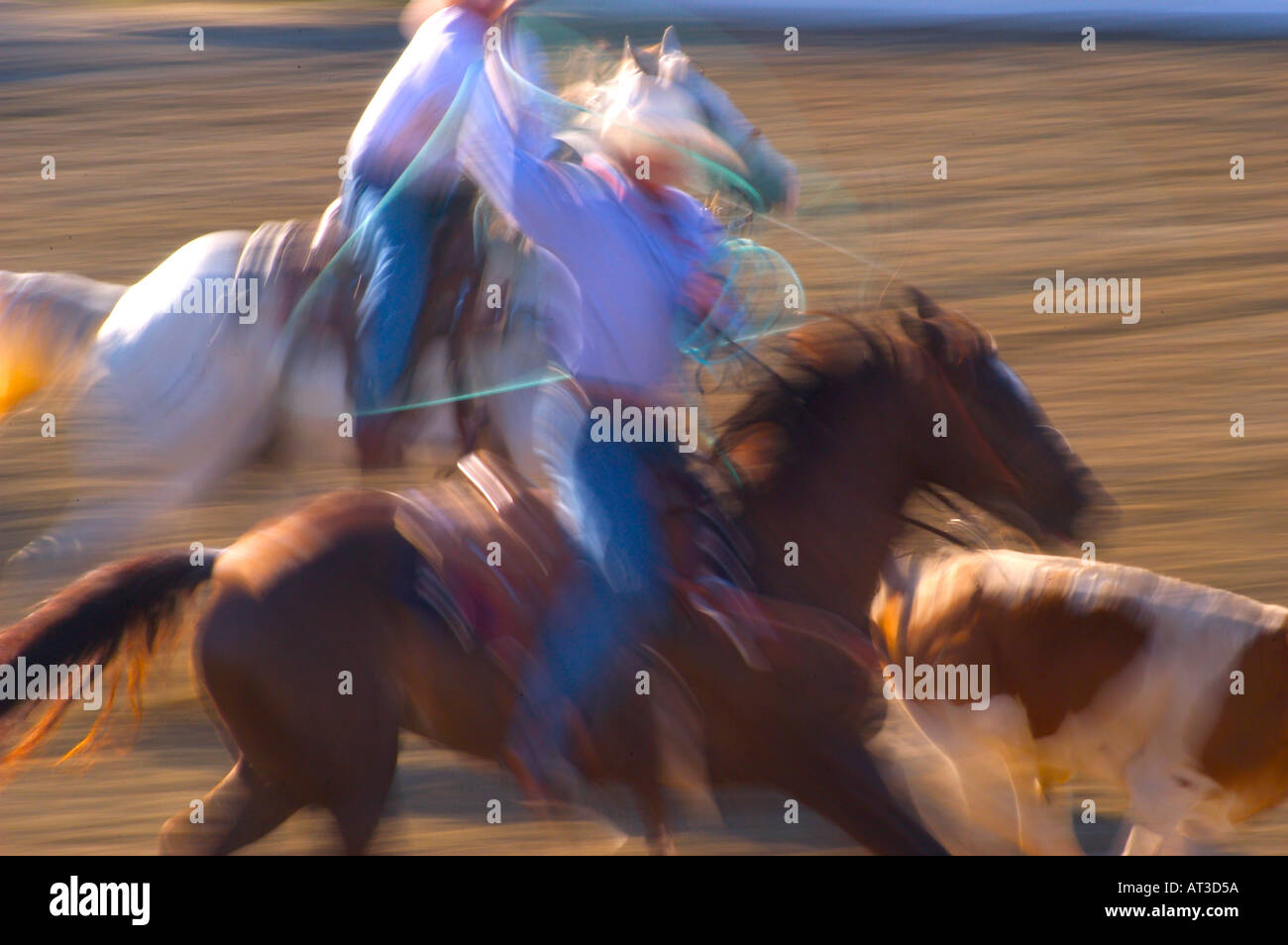 rodeo cowboy riding a horse Stock Photo - Alamy