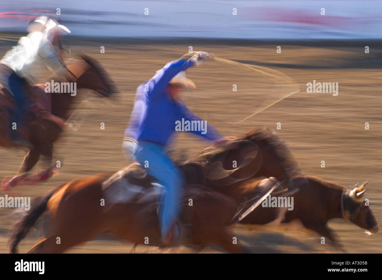 rodeo cowboy riding a horse Stock Photo - Alamy