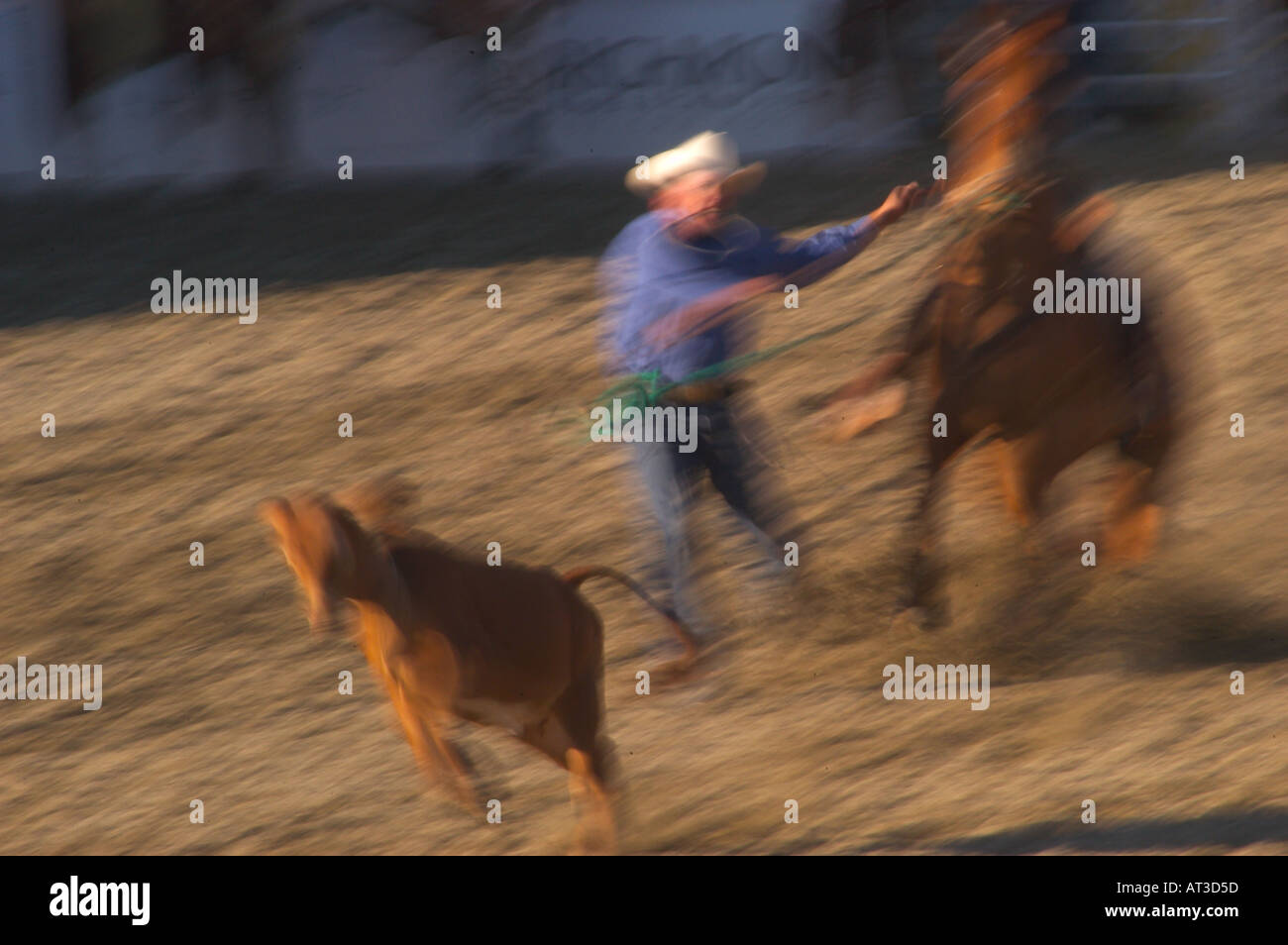 Rodeo portraits hi-res stock photography and images - Alamy