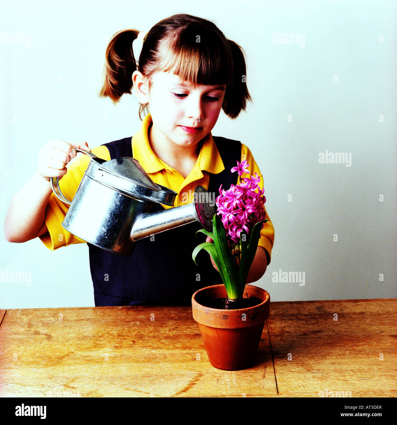 A small girl watering a plant Stock Photo - Alamy