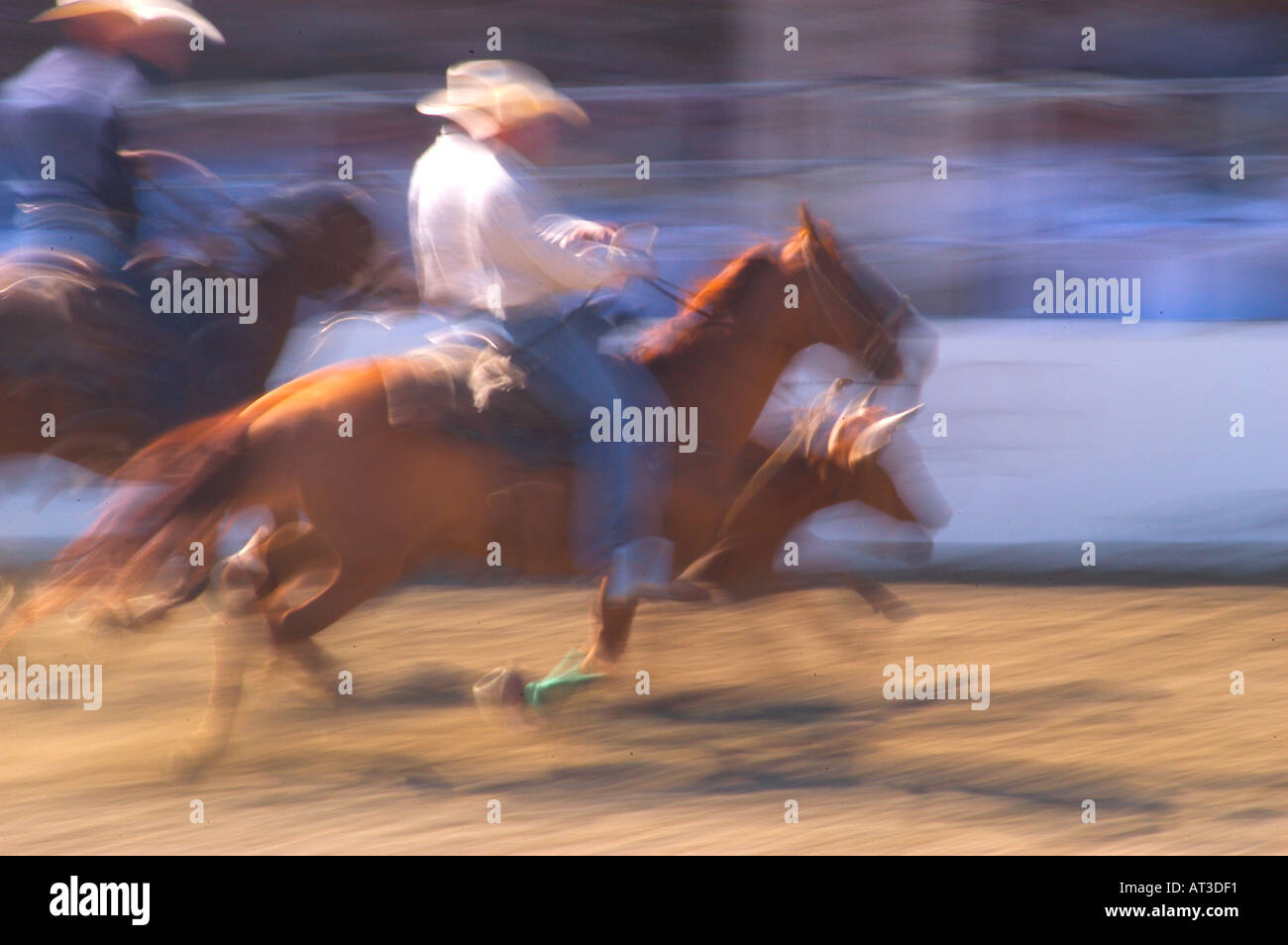 Rodeo portraits hi-res stock photography and images - Alamy