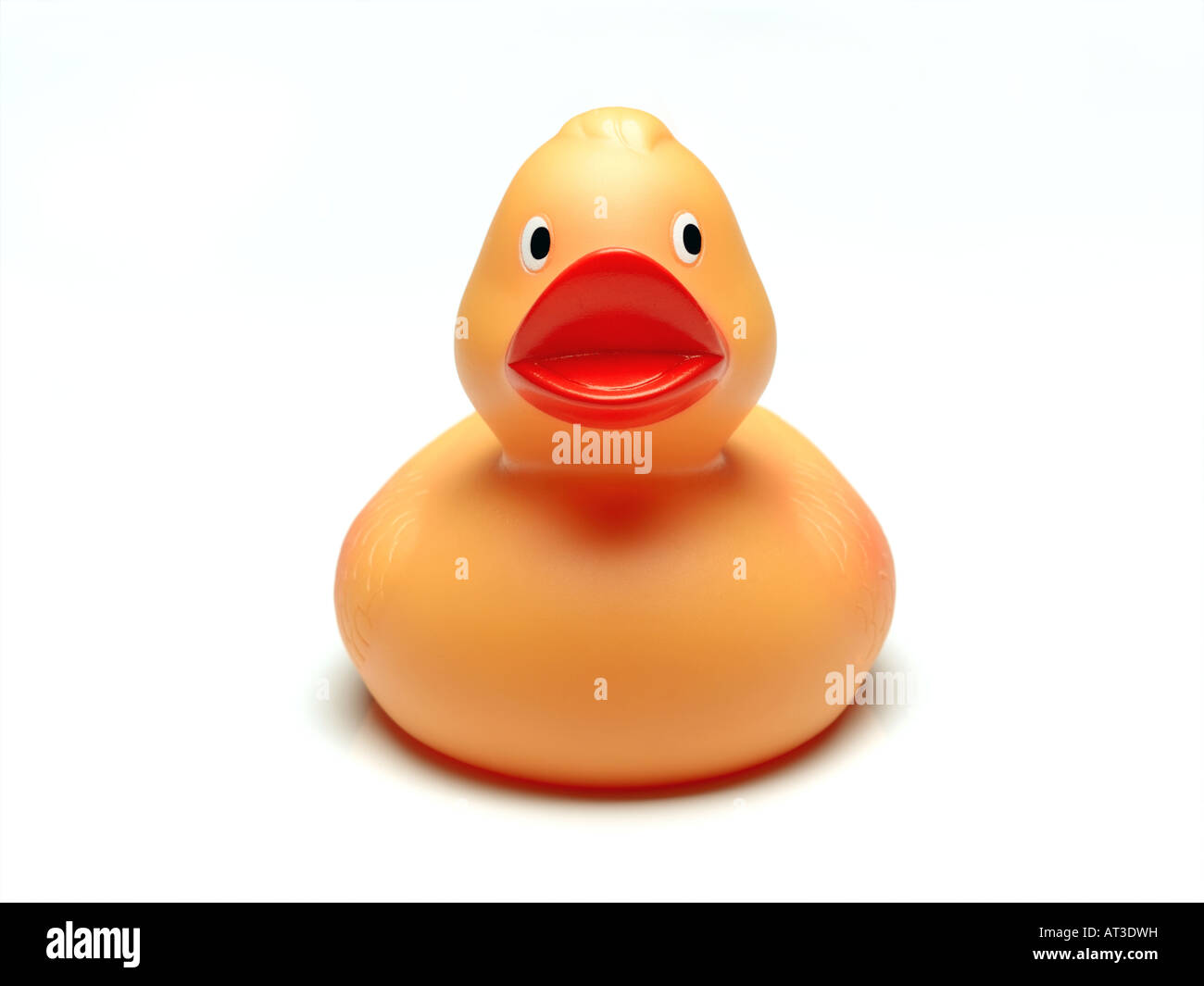 A rubber duck, front view Stock Photo - Alamy
