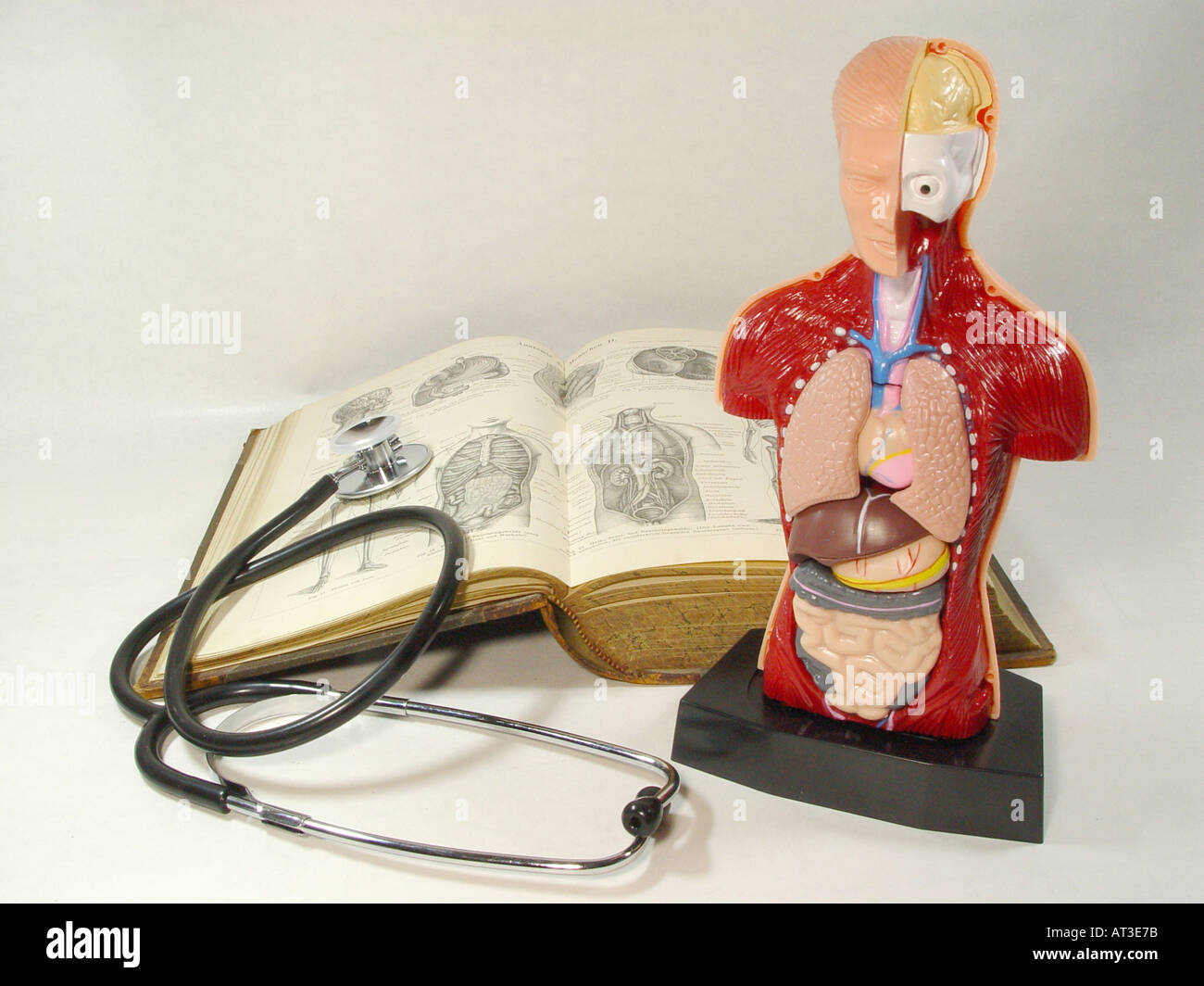 Anatomy model of the human body with an old medicine book and a ...