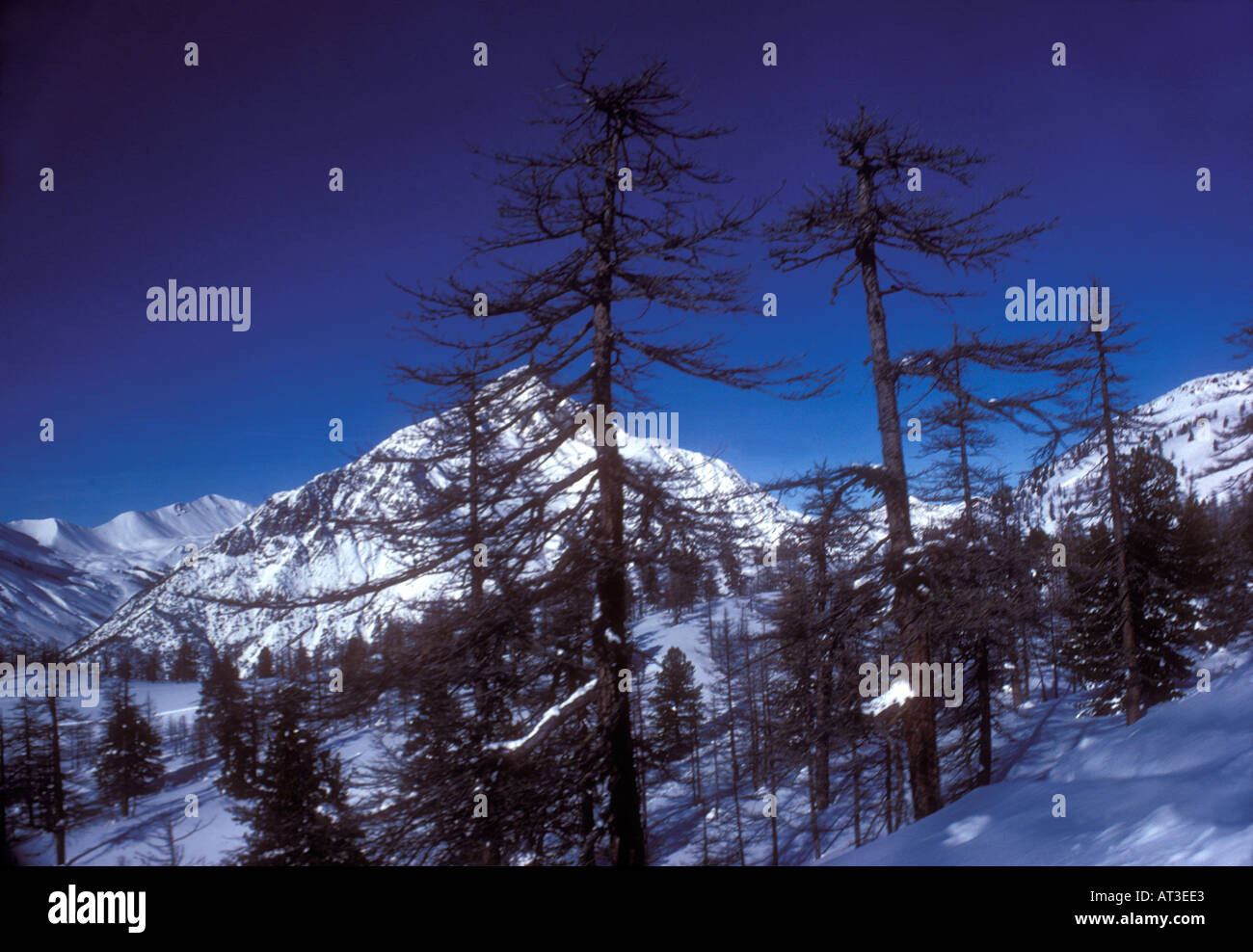 Cesana torinese hi-res stock photography and images - Alamy