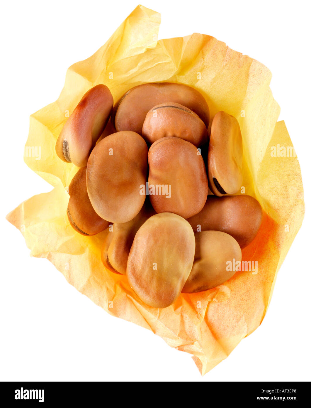 DRIED BROAD BEANS CUT OUT Stock Photo - Alamy