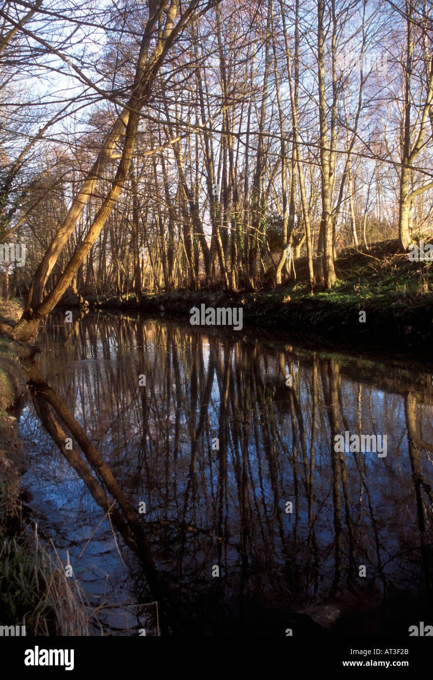 Willow Vale and River Frome in Frome Somerset Stock Photo - Alamy