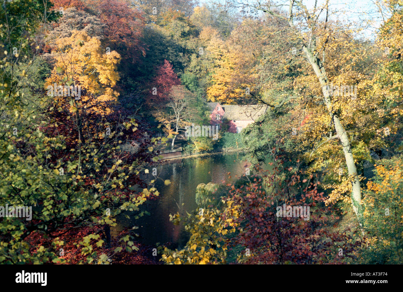 River Wear in Autumn below Durham Cathedral England Stock Photo - Alamy