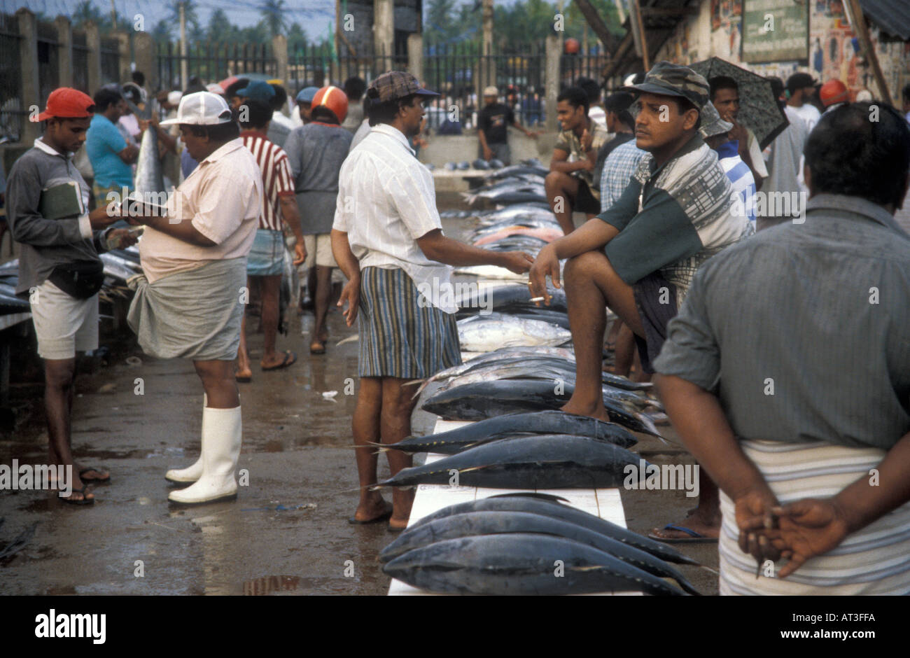 Fish market Sri Lanka Stock Photo - Alamy