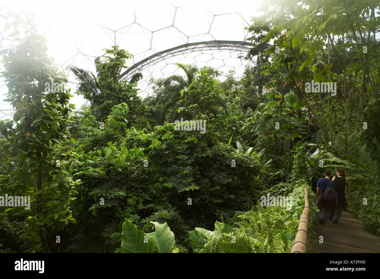 Tropical Biome at the Eden Project, Cornwall U.K Stock Photo - Alamy