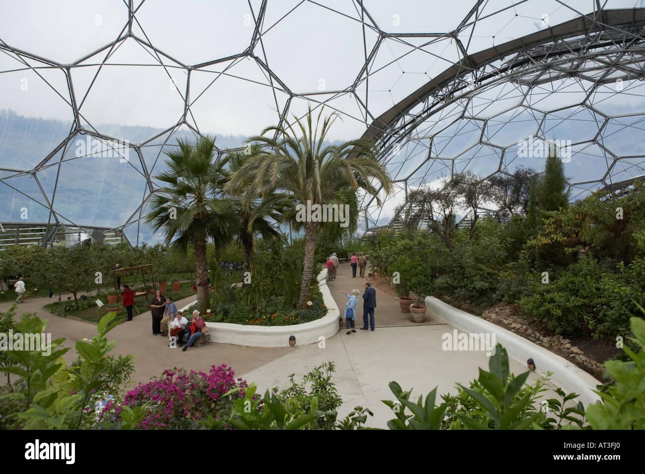 Temperate Biome, Eden Project Cornwall, U.K Stock Photo - Alamy