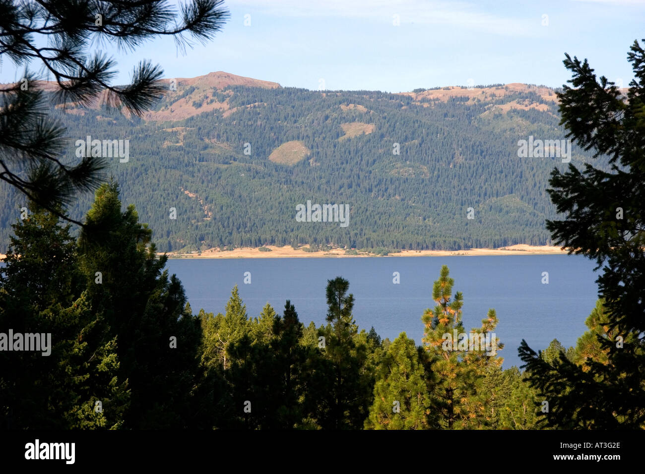 Boise cascade hi-res stock photography and images - Alamy