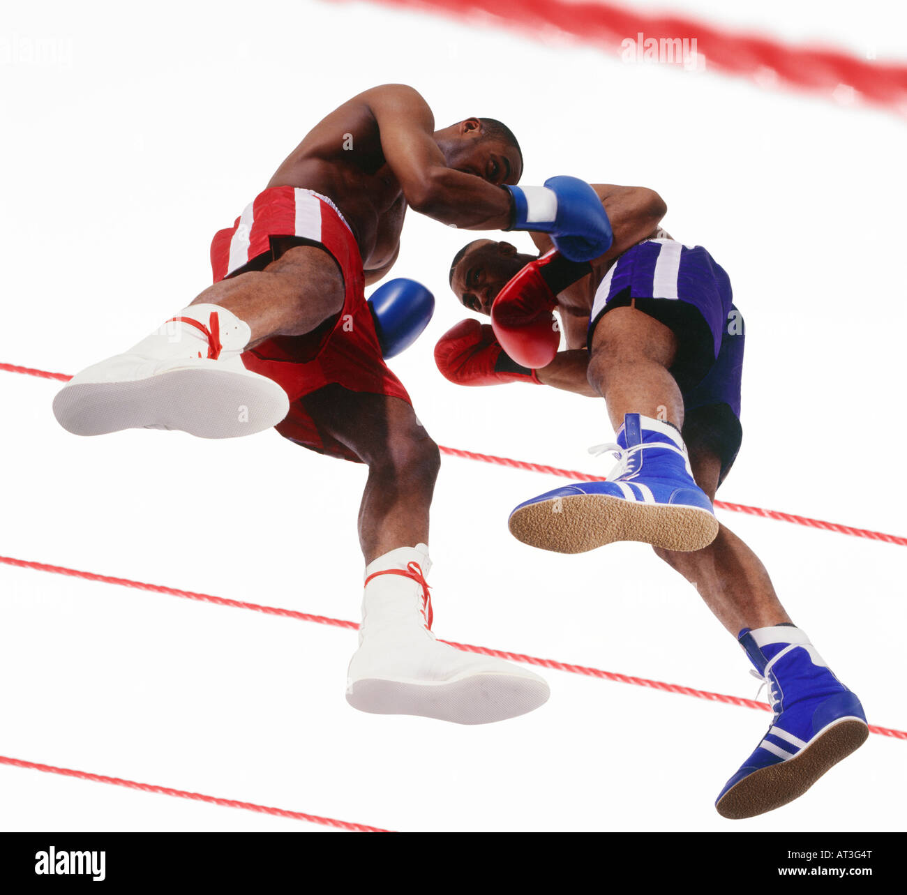 Fighting boxers Cut Out Stock Images & Pictures - Alamy