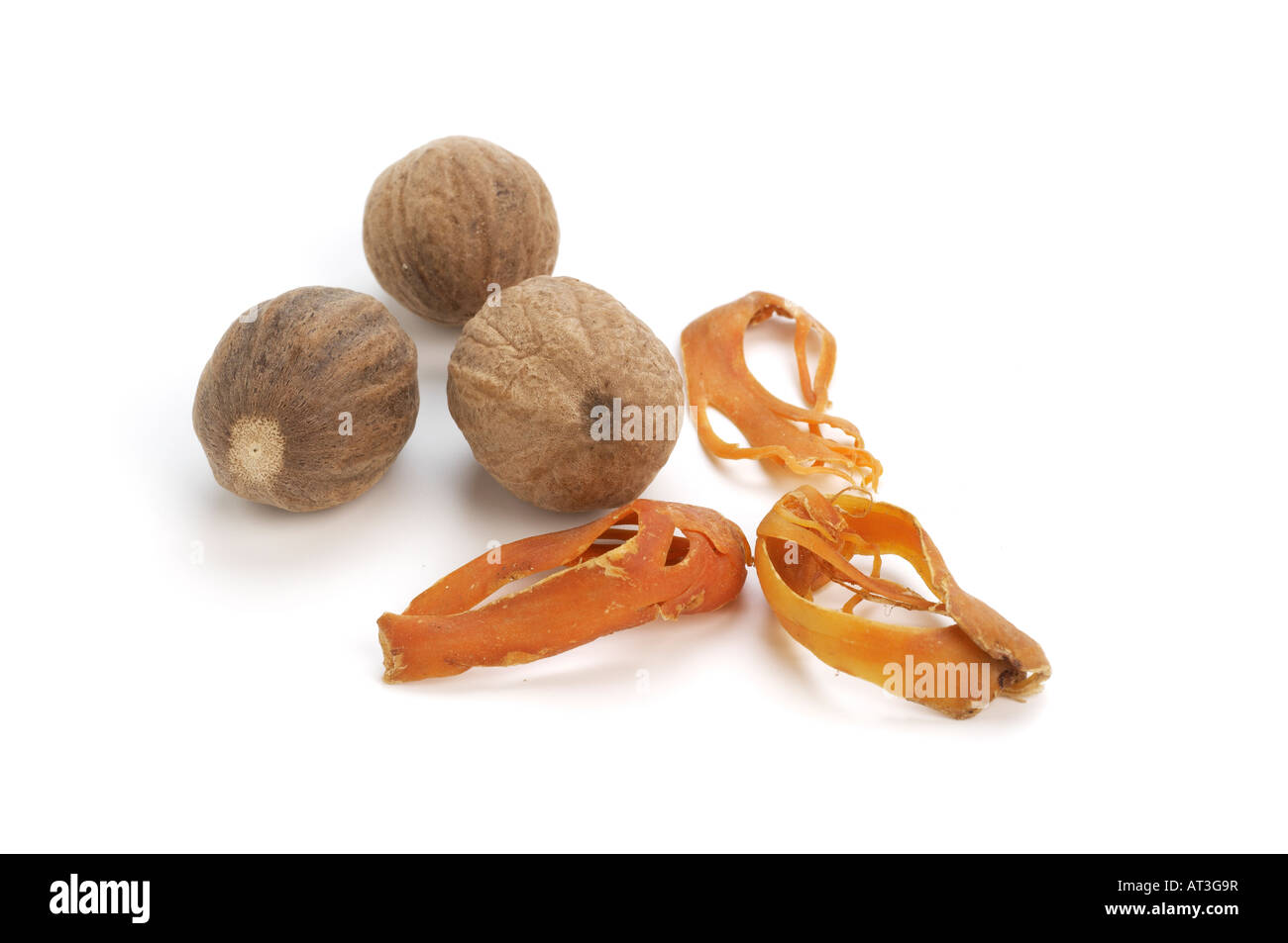 Mace Blades High Resolution Stock Photography and Images - Alamy