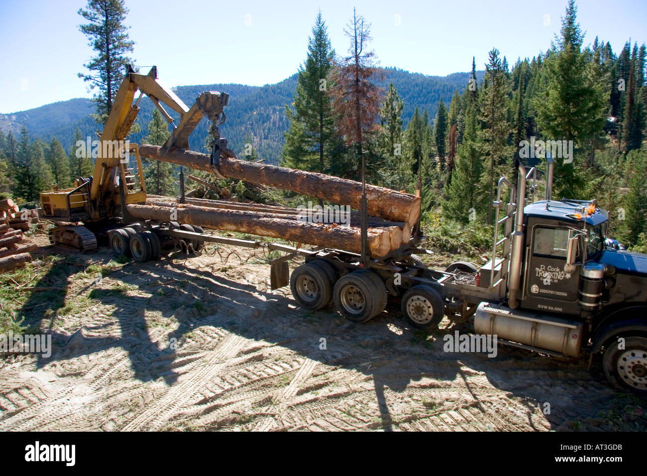 Logging truck and national forest hi-res stock photography and images ...
