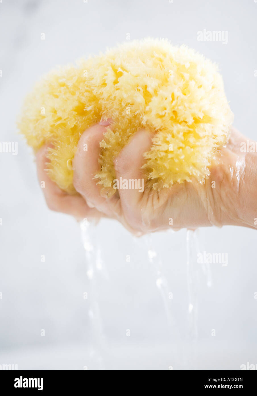 Woman's hand squeezing water out of bath sponge Stock Photo - Alamy