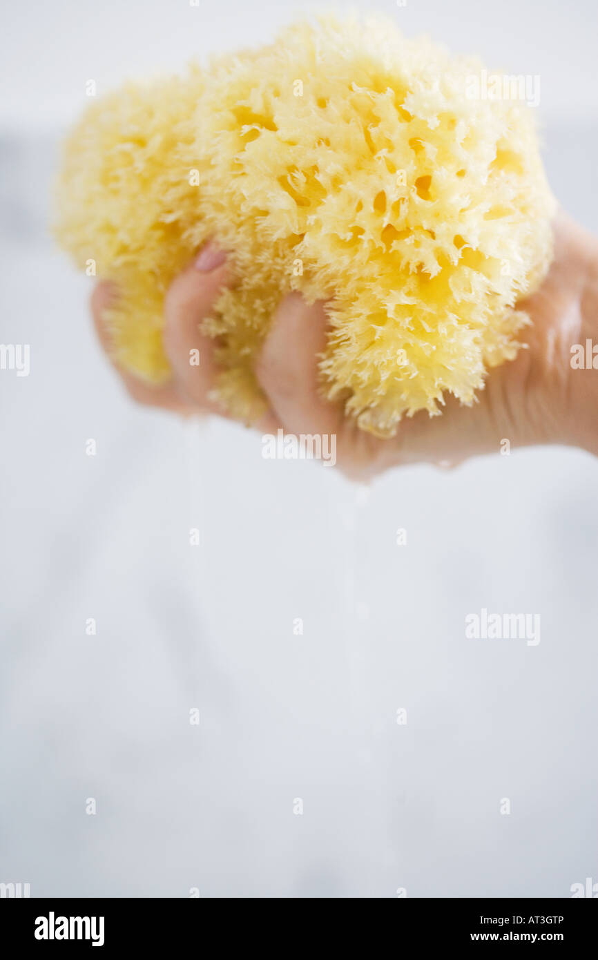 Woman's hand squeezing water out of bath sponge Stock Photo - Alamy