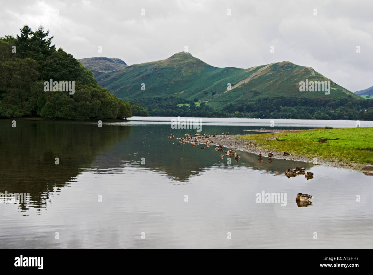 Derwent Water, Lake District National Park, Cumbria Stock Photo - Alamy