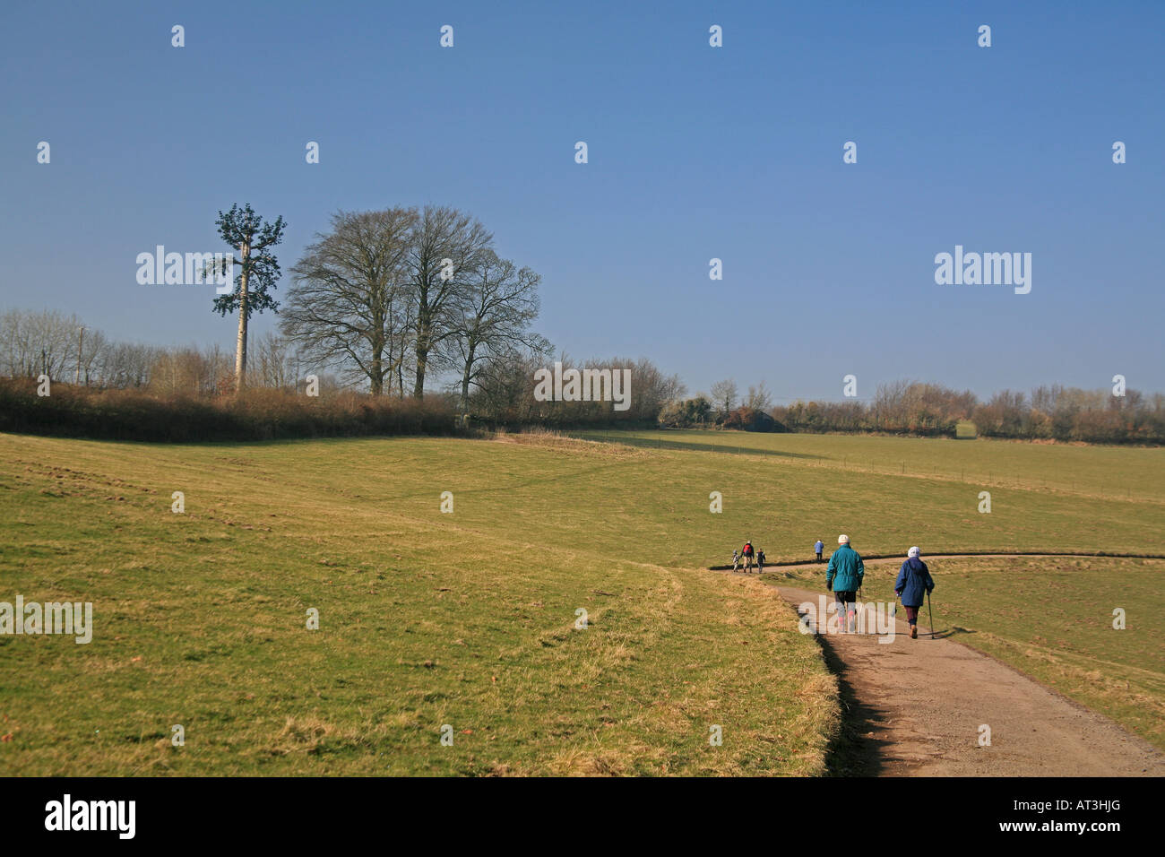Disguised mast hi-res stock photography and images - Alamy