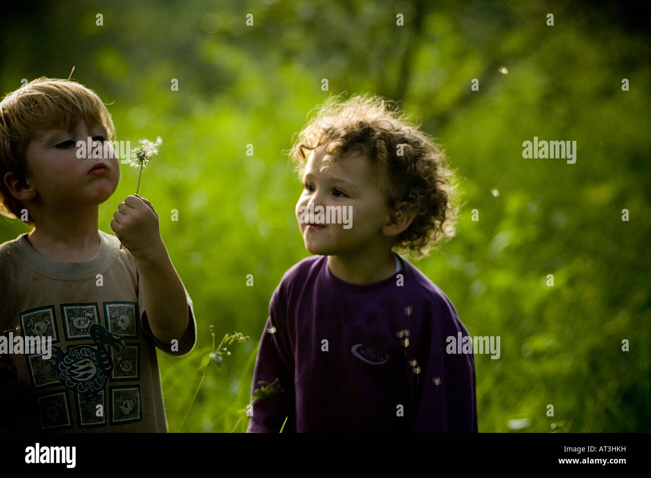 children playing in field Stock Photo - Alamy