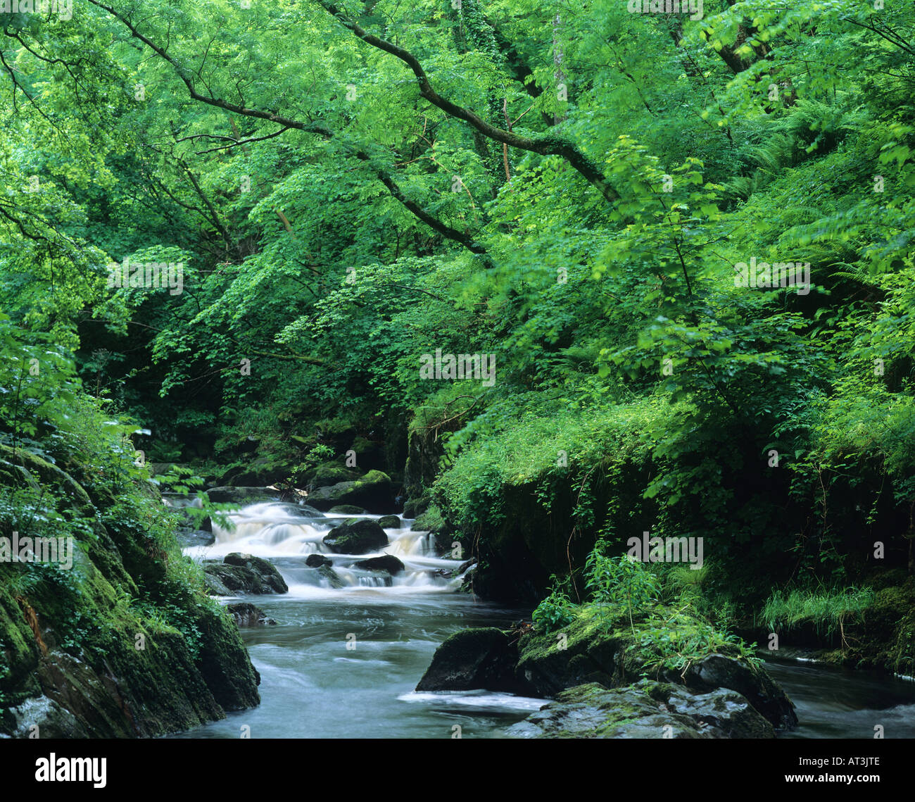 Watersmeet Lynmouth Devon England UK Stock Photo - Alamy