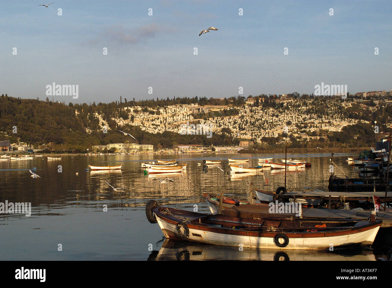 Anatolia golden hi-res stock photography and images - Alamy