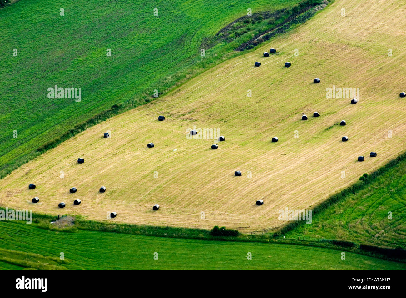 Hay field pictures hi-res stock photography and images - Alamy
