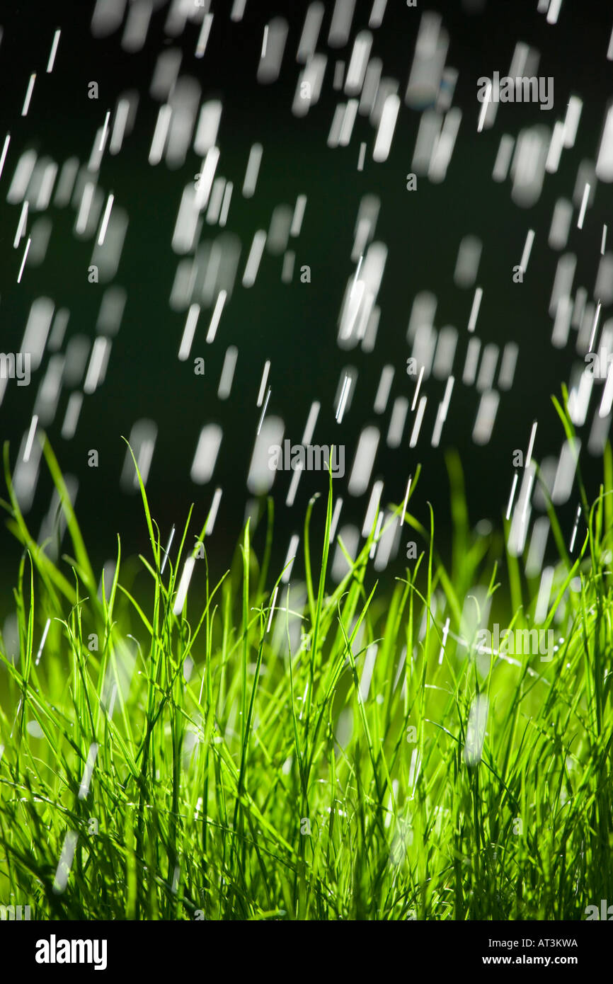 Raining rainfall grass hi-res stock photography and images - Alamy