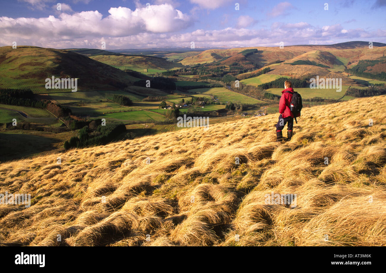Esk valley walk hi-res stock photography and images - Alamy