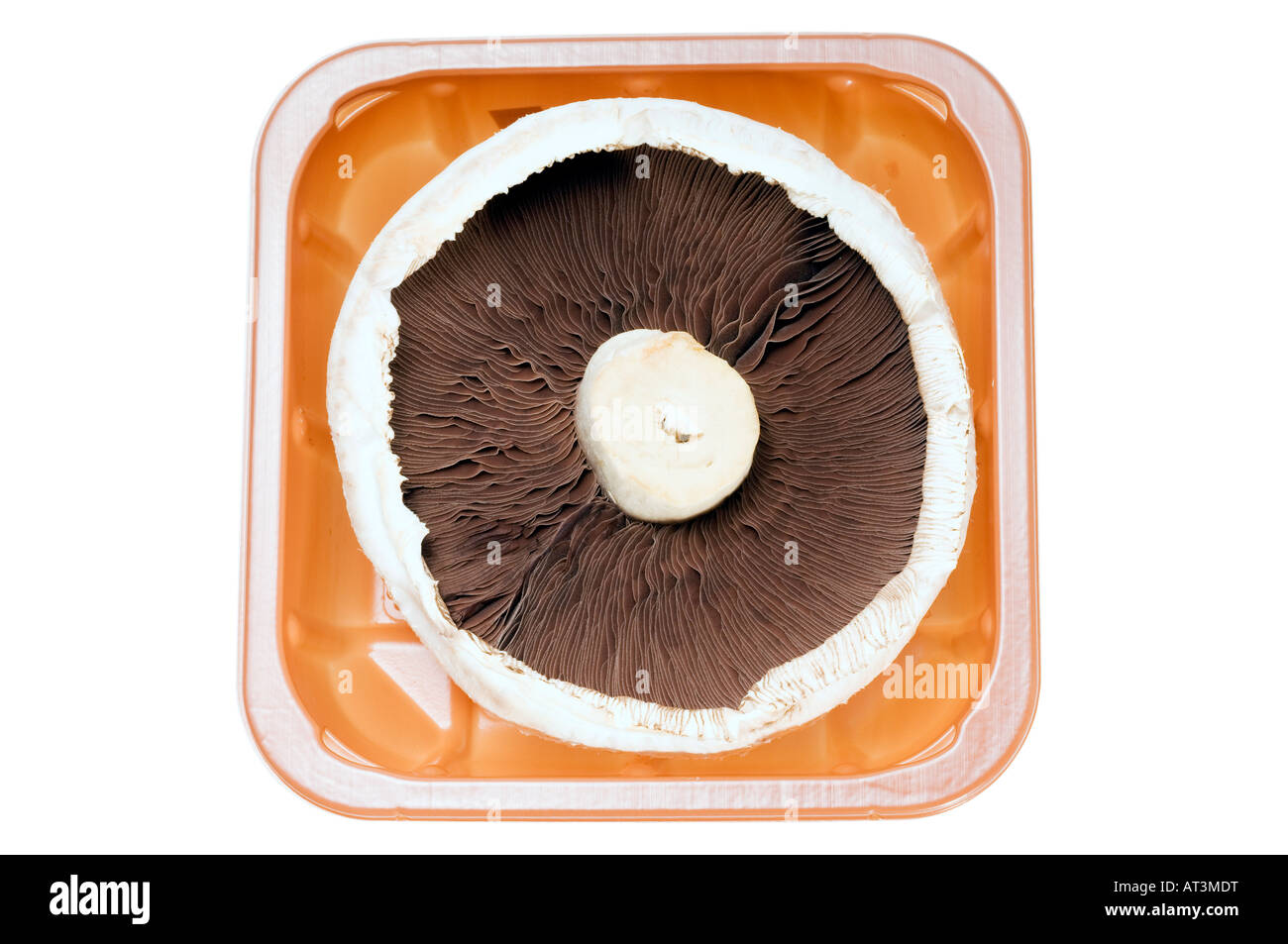 Monster on white in Cut Out Stock Images & Pictures - Alamy