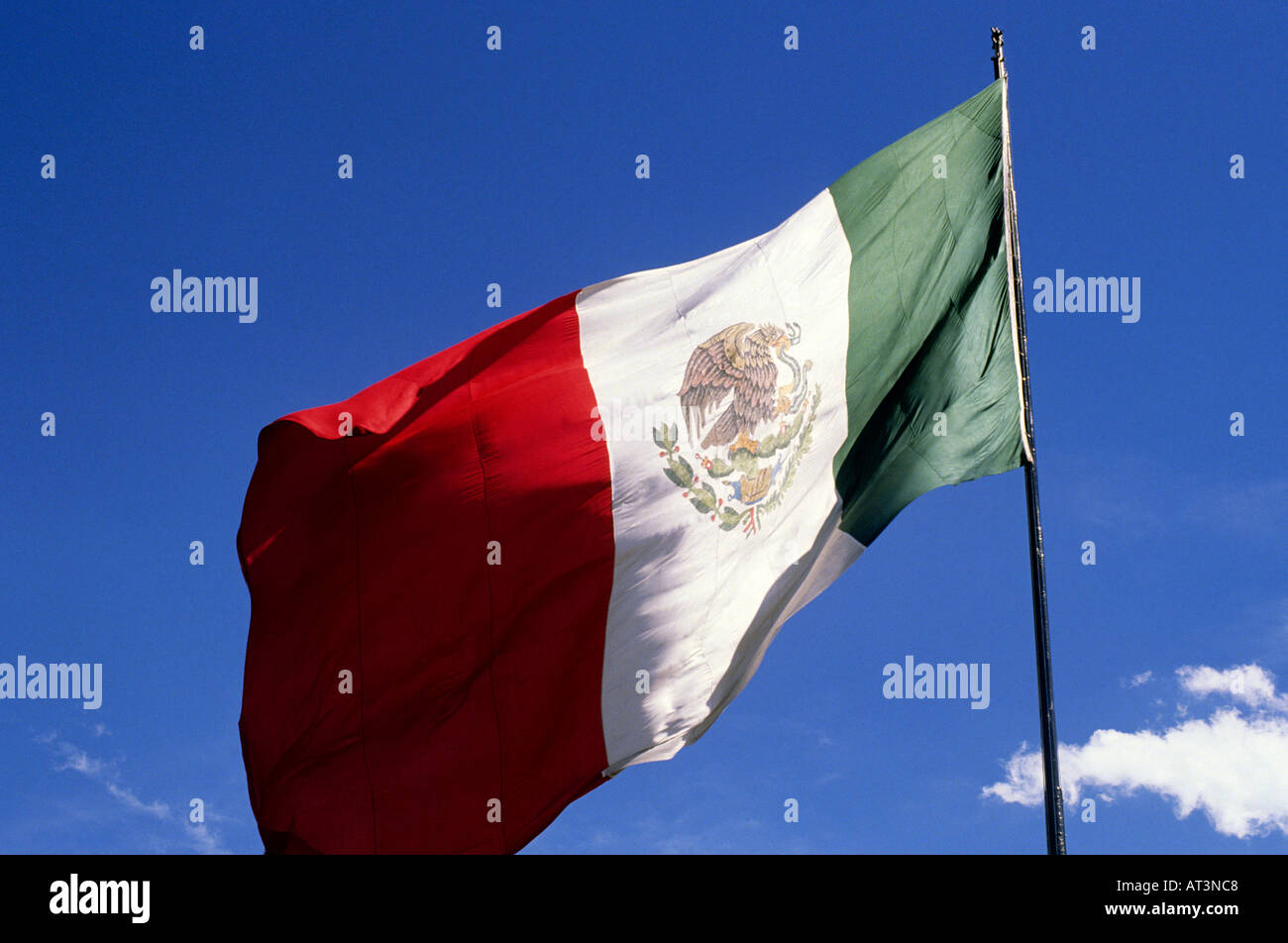 The National flag of Mexico Stock Photo - Alamy