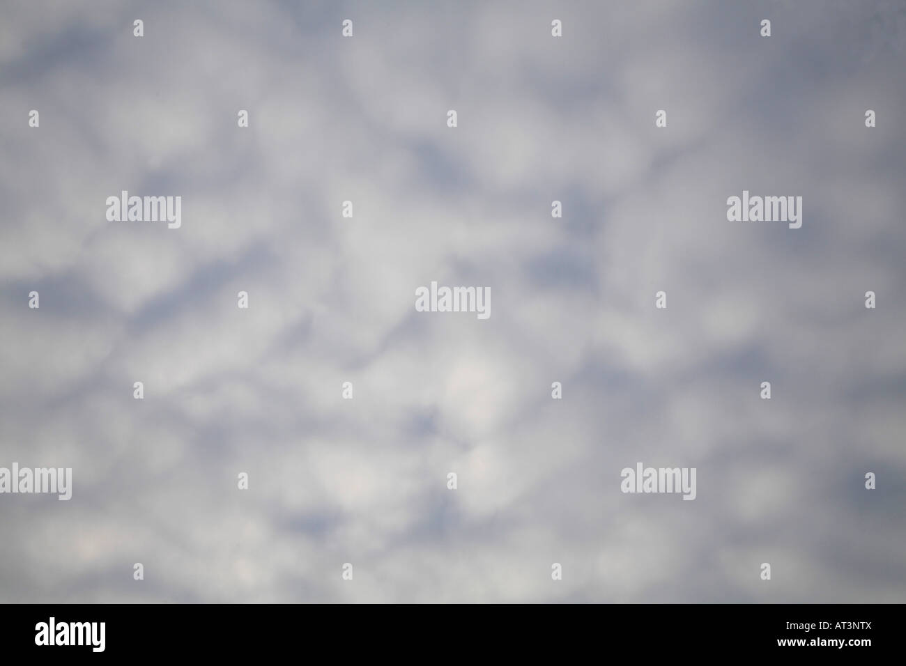 Altocumulus perlucidus small clumps of white clouds with blue showing ...