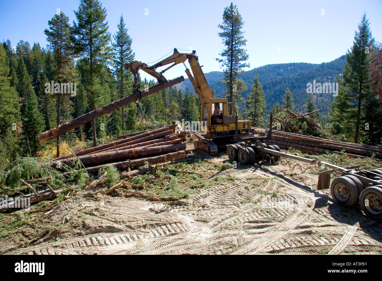 Logging jammer hi-res stock photography and images - Alamy