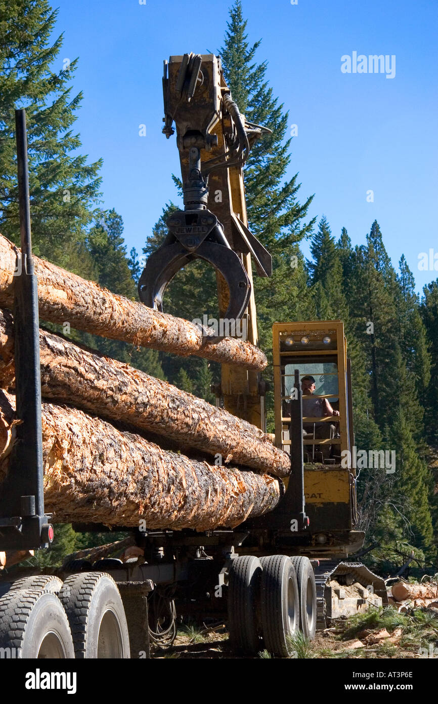 Logging truck and national forest hi-res stock photography and images ...