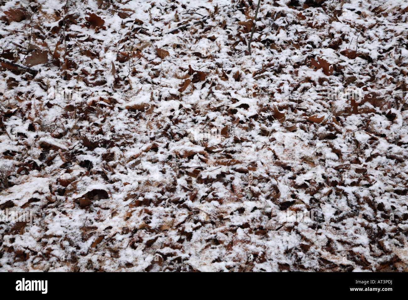 Coating mass hi-res stock photography and images - Alamy
