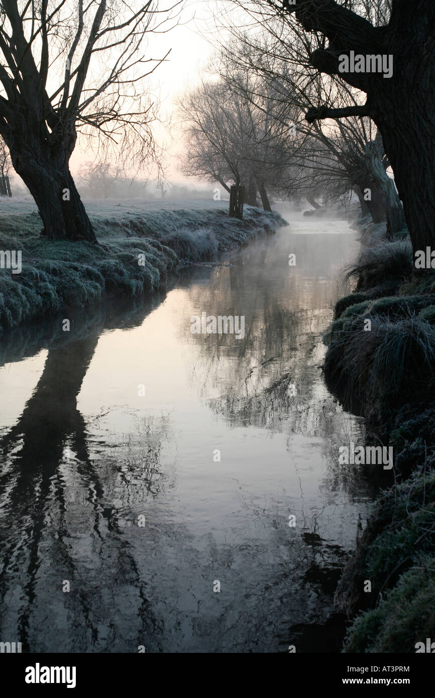 Beverley Brook in a frosty Richmond Park, London Stock Photo - Alamy