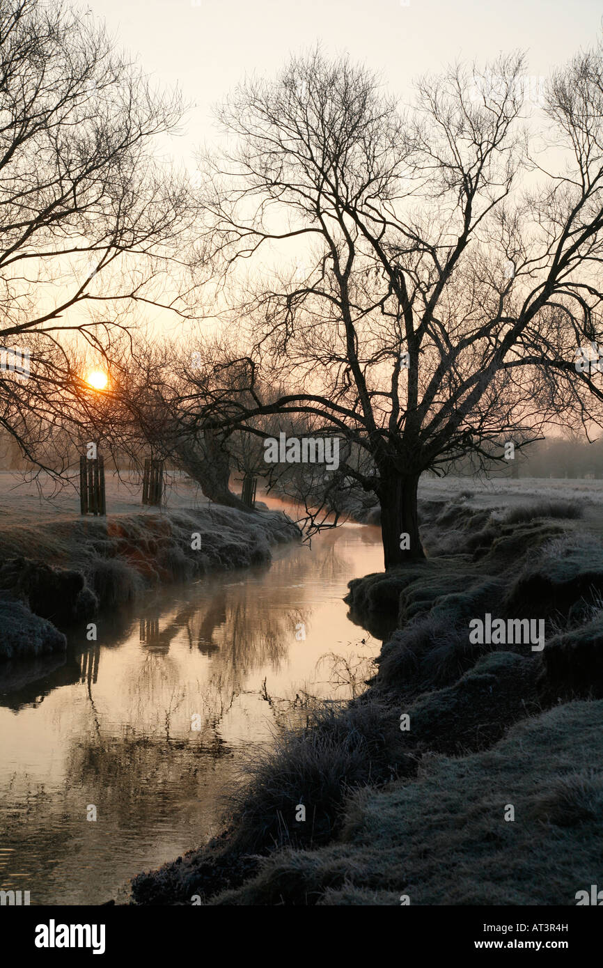 Beverley Brook in a frosty Richmond Park, London Stock Photo - Alamy