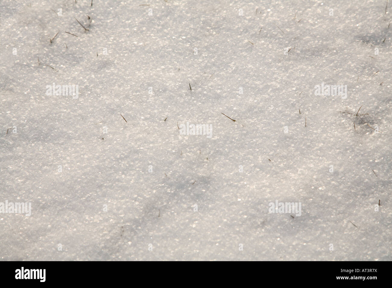 Sparkling snow flakes in hi-res stock photography and images - Alamy