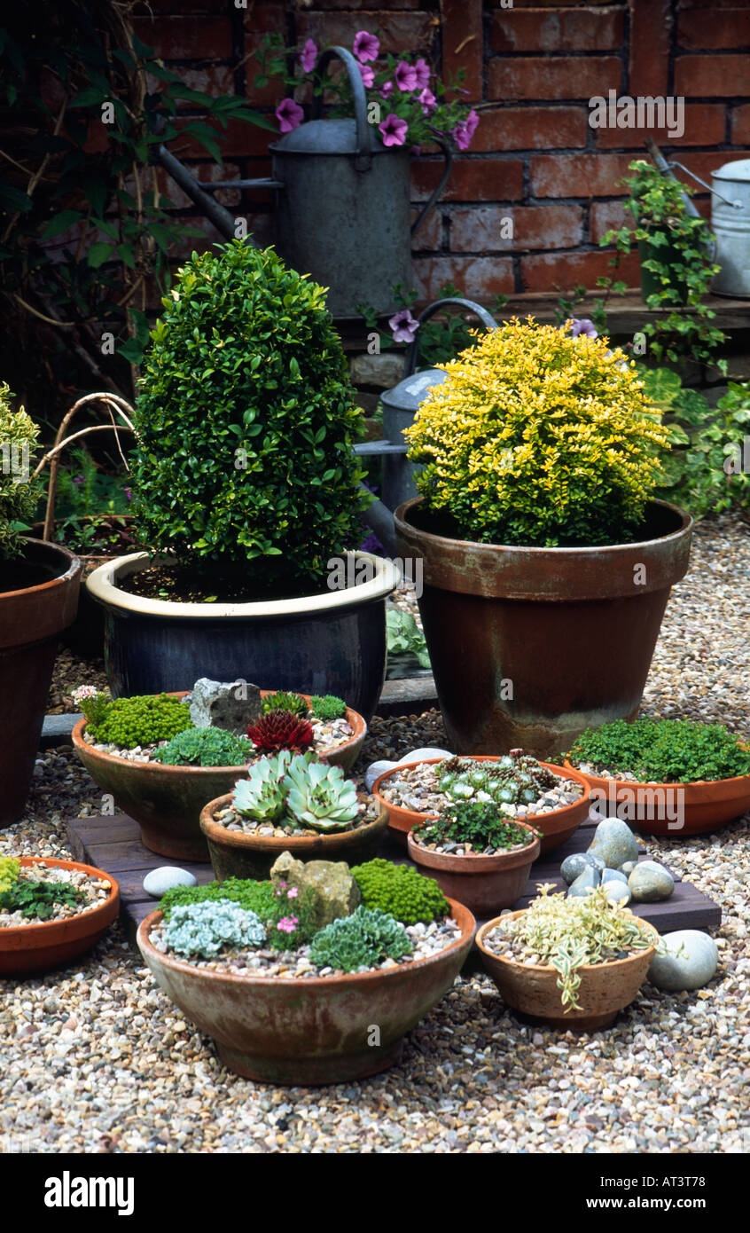 Alpines container hi-res stock photography and images - Alamy