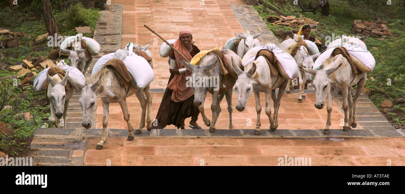 Donkeys carrying load hi-res stock photography and images - Alamy