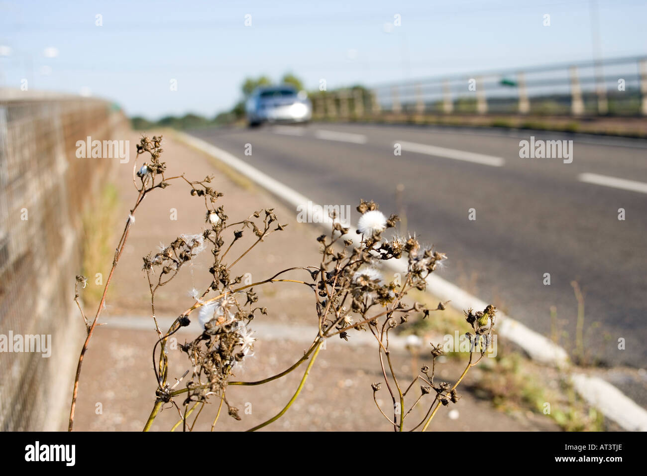 Road tarmac weeds hi-res stock photography and images - Alamy