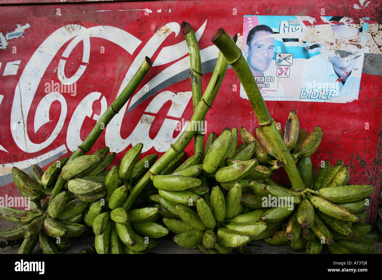 Bananas are wellknown export products of Colombia Stock Photo - Alamy