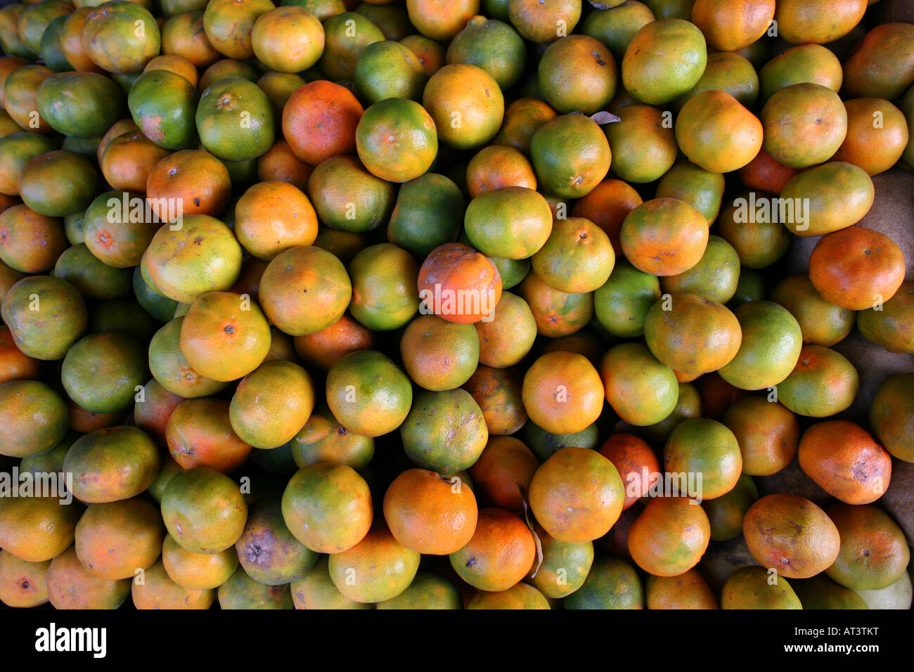 Fruits are Colombians export products especially bananas and oranges ...
